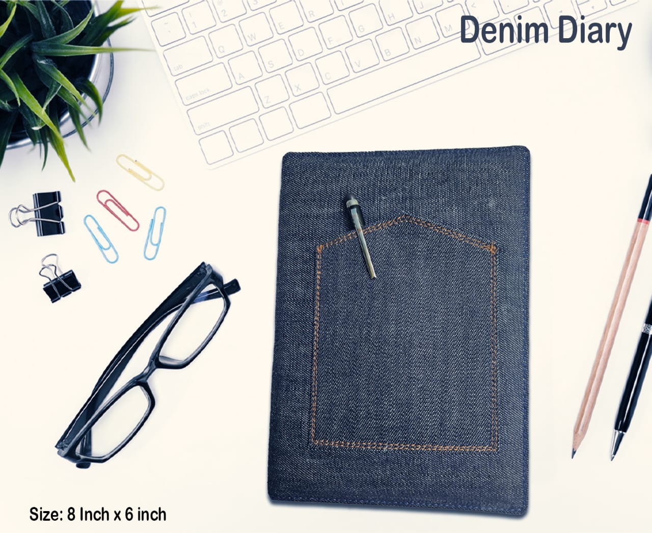 Denim Diary (V02)